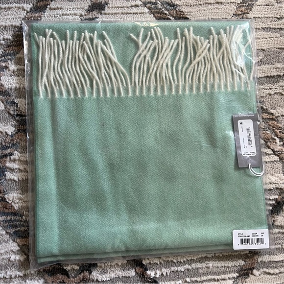 Amicale Cashmere | Accessories | Nwtamicale 0 Cashmere Melange Mint ...